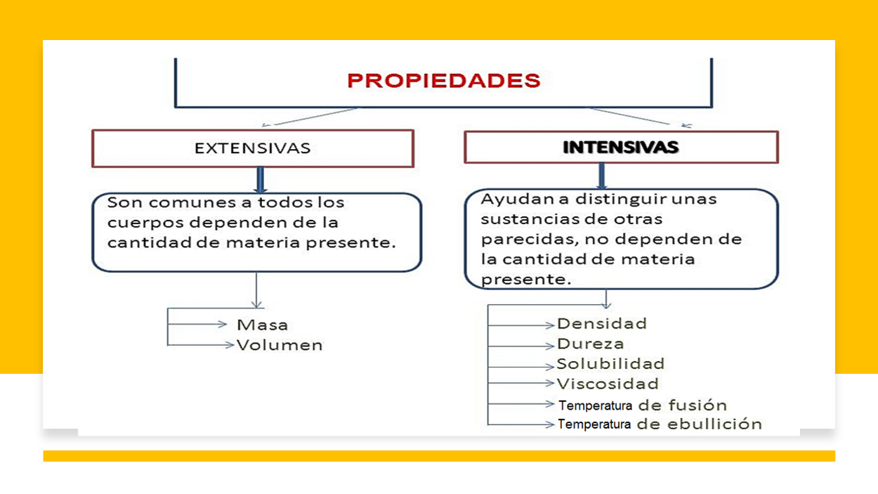 Qué son las actividades intensivas y extensivas